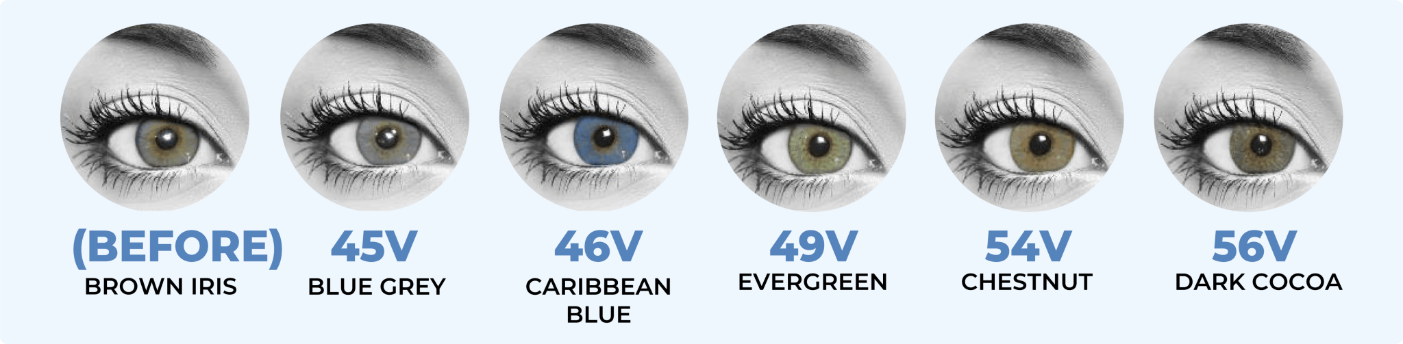 Orion lenses - Spectrum International