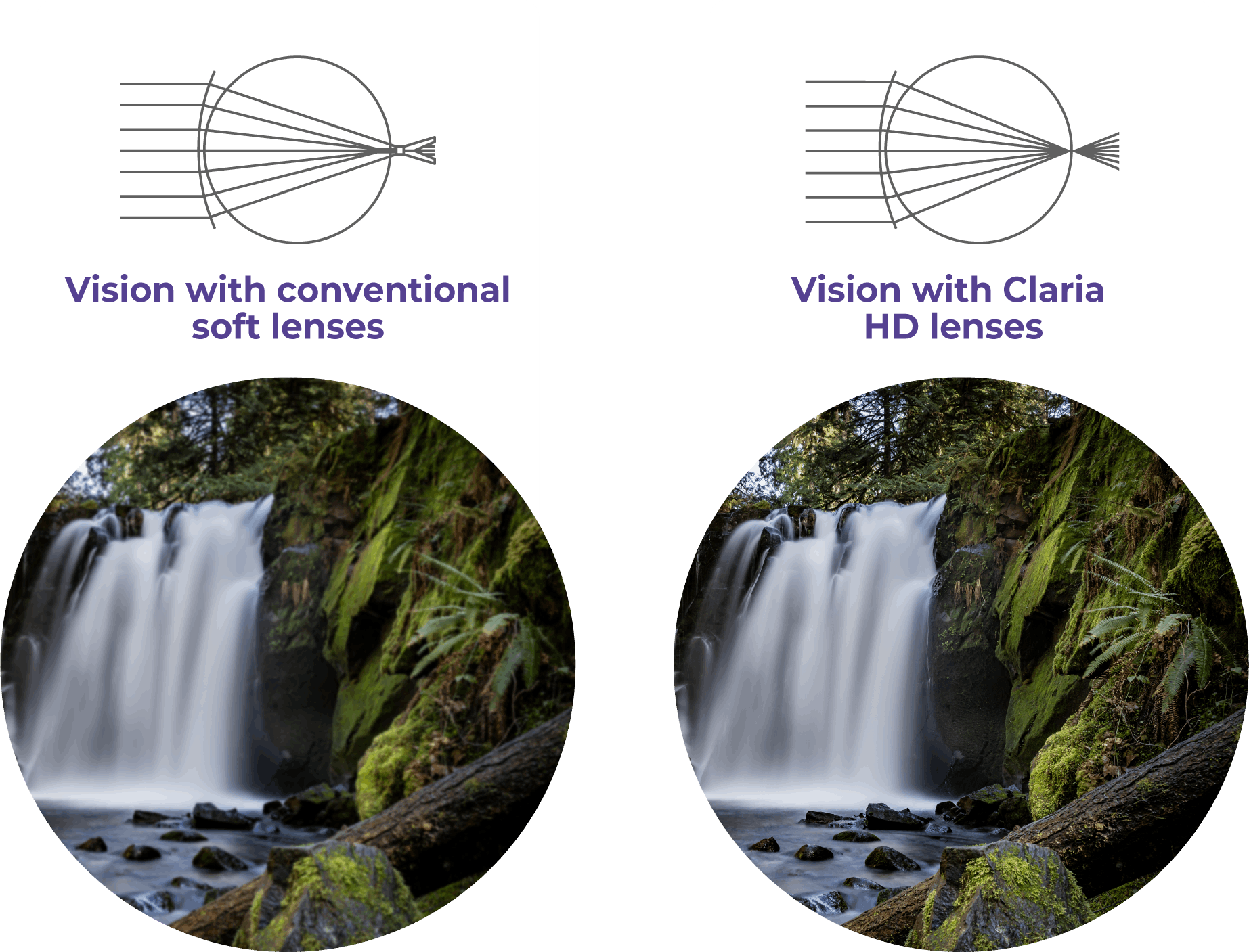 SILICONE HYDROGEL LENSES – CLARIA – Spectrum International