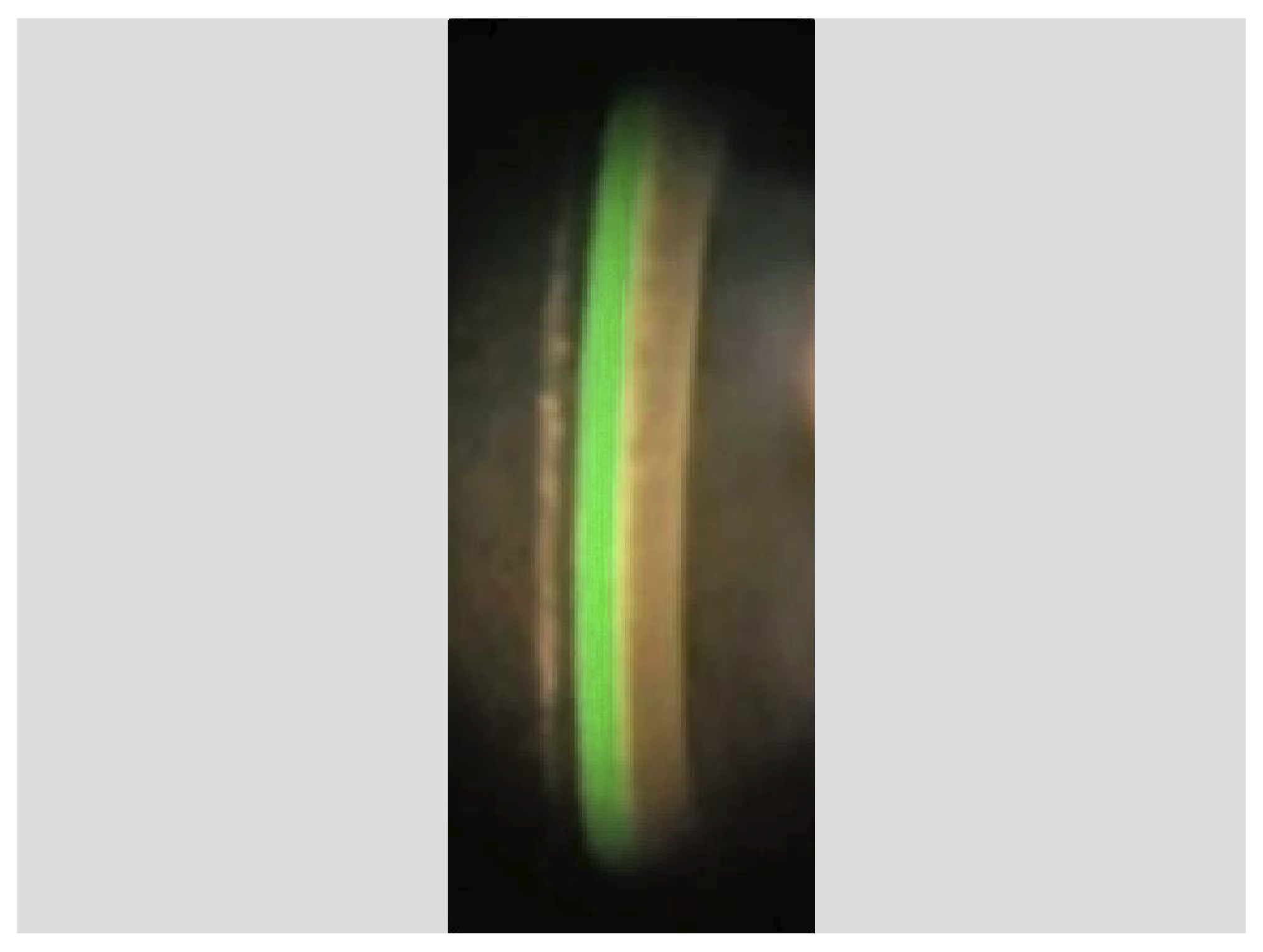 Case Nezar – Spectrum International