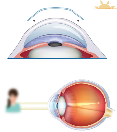 Paragon CRT - Spectrum International